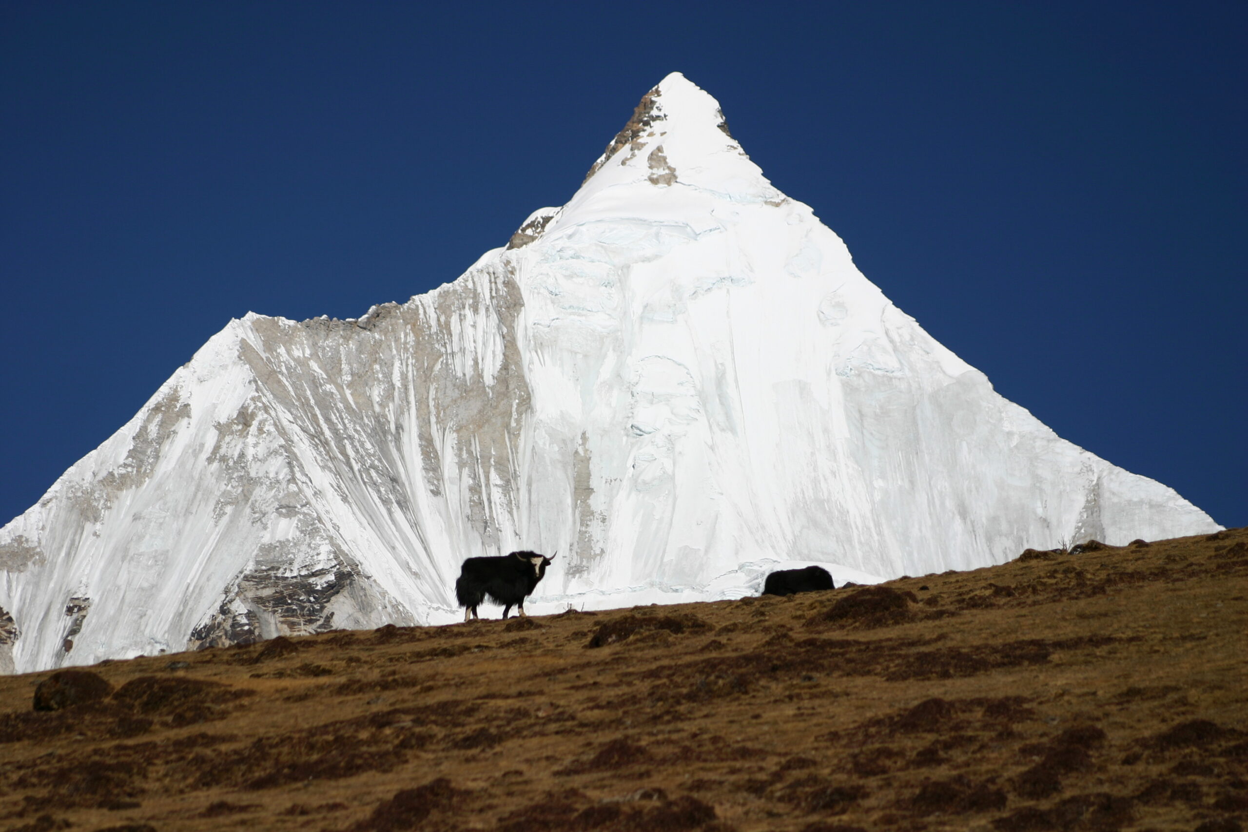 Bhutan: Jumolhari Trek - Little Bhutan